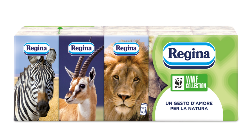 Rotoloni Regina - Lo Store ufficiale Regina | SofidelShop